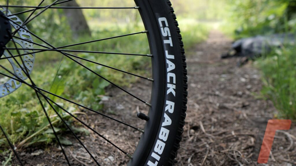 Abbiamo provato la GoGO Best GM26: bici elettrica legale, economica e ...