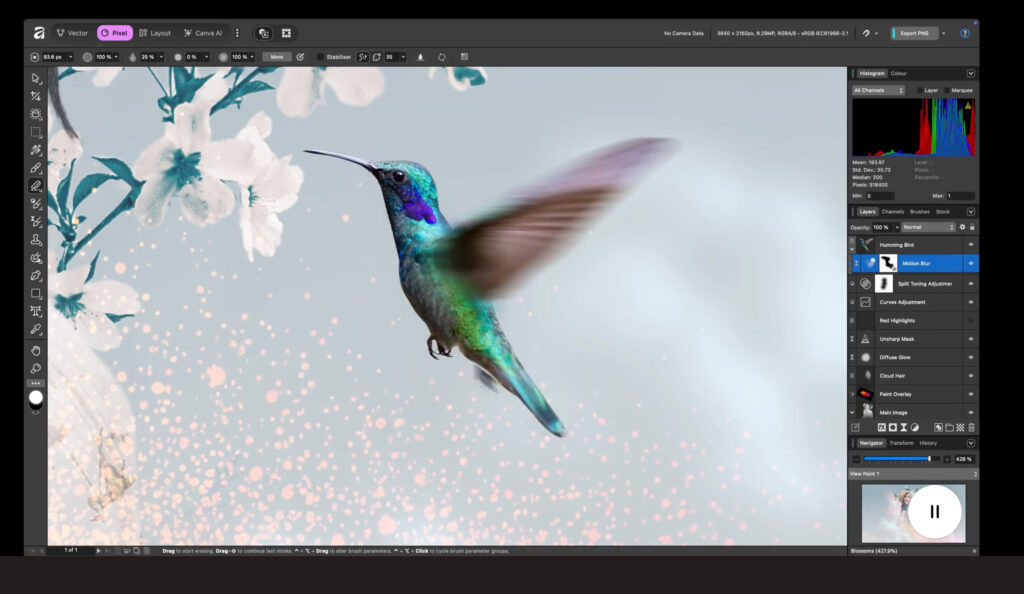 Affinity by Canva: la nuova era del design gratuito e integrato (per ...